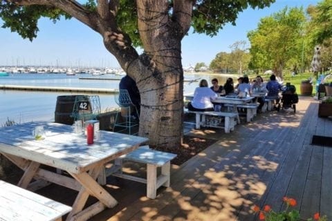 Our Favourite Dog-Friendly Cafes in Perth Where You Can Take Your Pooch