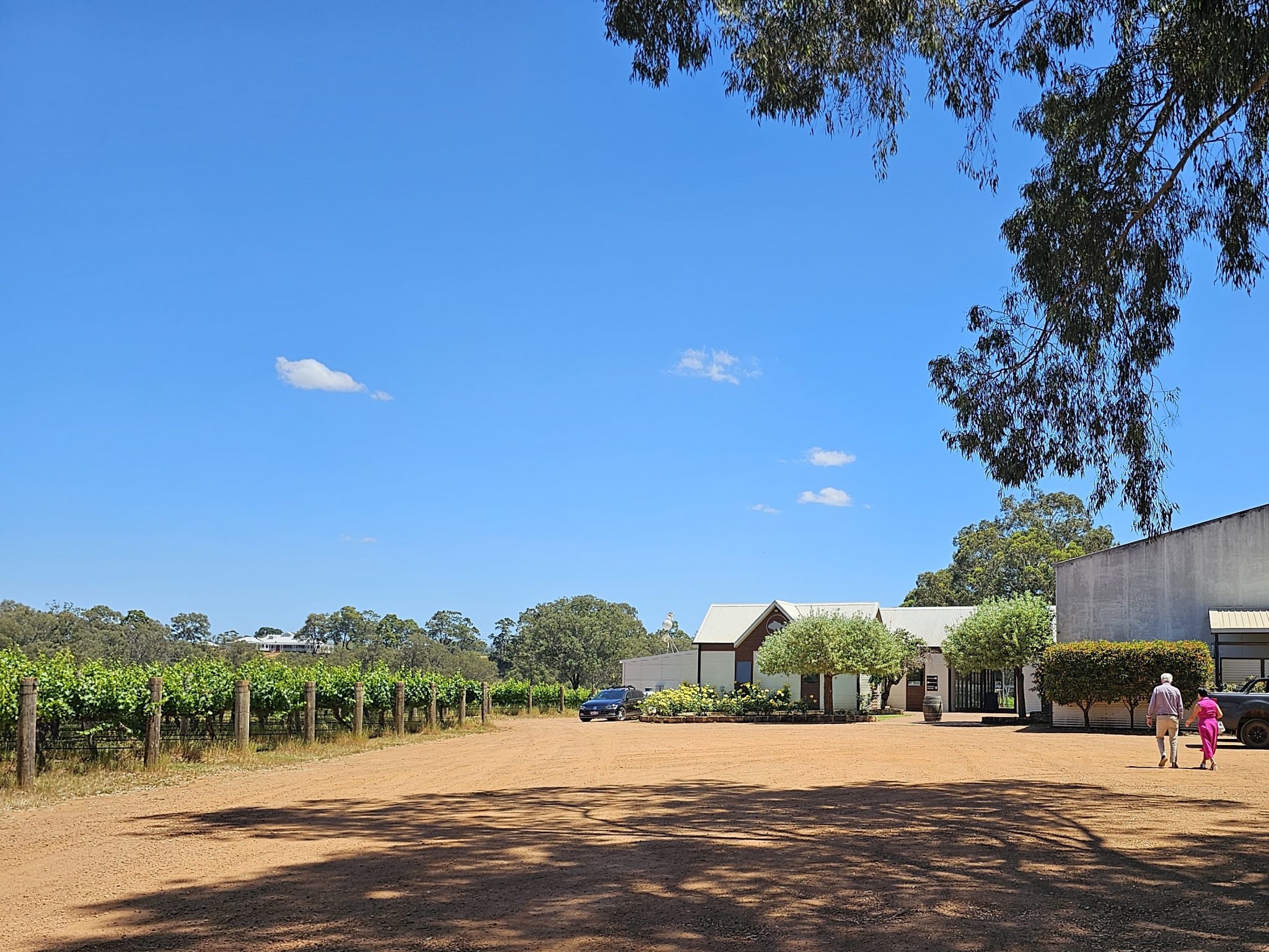 Upper Reach Winery, Swan Valley - Seniors / Over 55's Guide to Perth
