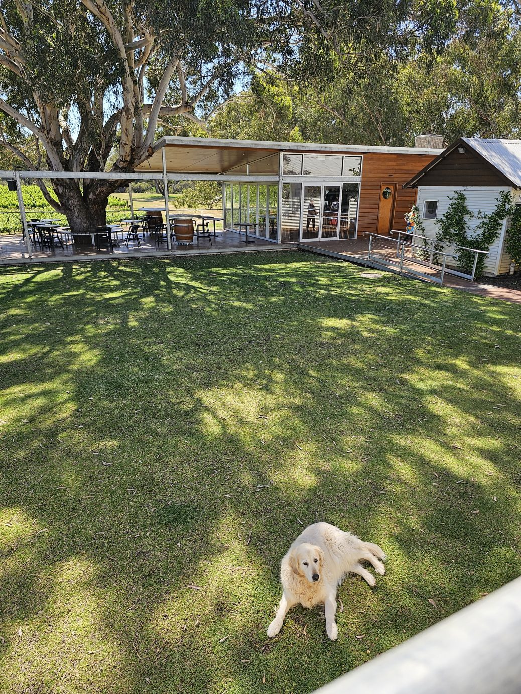 Upper Reach Winery, Swan Valley - Seniors / Over 55's Guide to Perth
