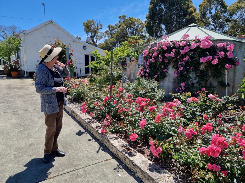 Patsy Durack's Rose Gardens, Gooseberry Hill - Seniors / Over 55's ...