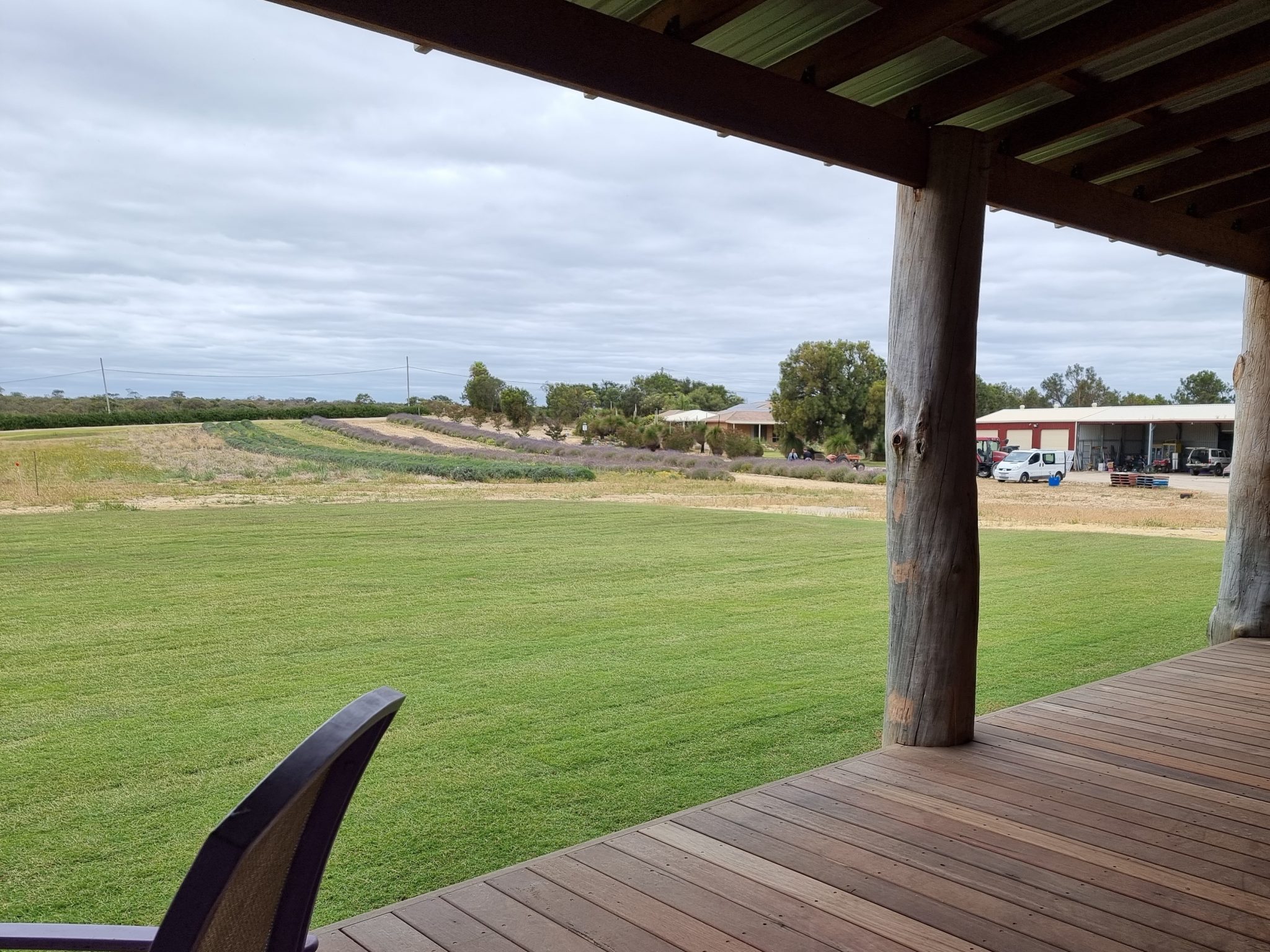 Yanchep Lavender, Carabooda - Seniors / Over 55's Guide to Perth
