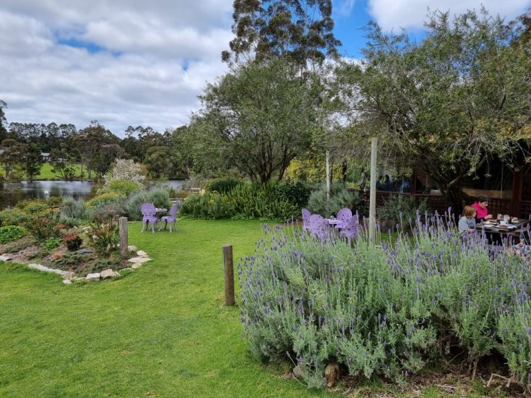 Where to find Lavender Farms & Cafes in Perth and WA