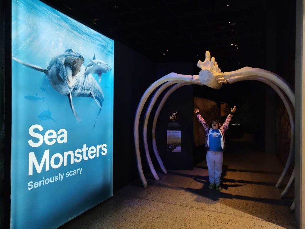 Sea Monsters: Prehistoric Ocean Predators Exhibition - Seniors / Over ...