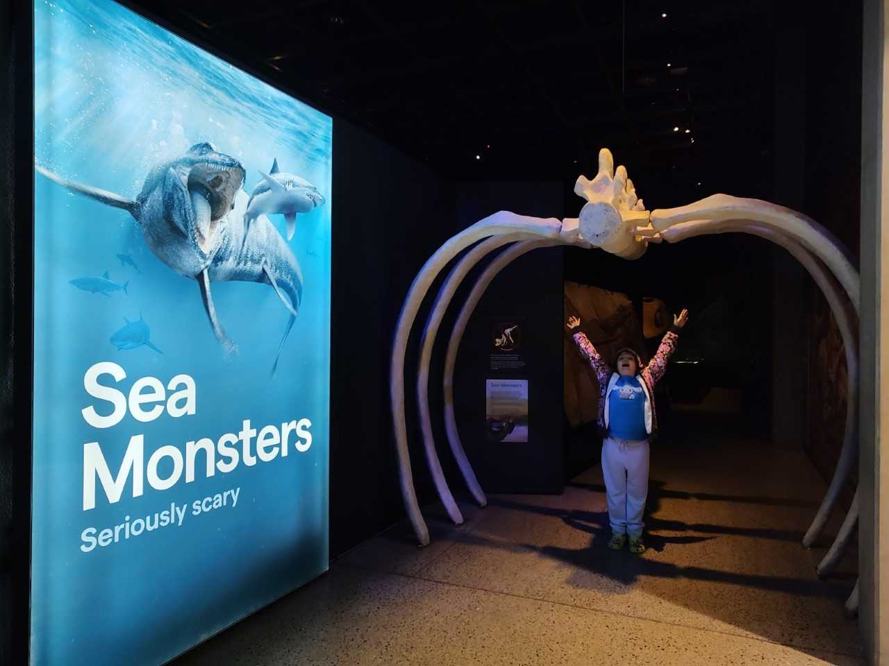 Sea Monsters: Prehistoric Ocean Predators Exhibition - Seniors / Over ...