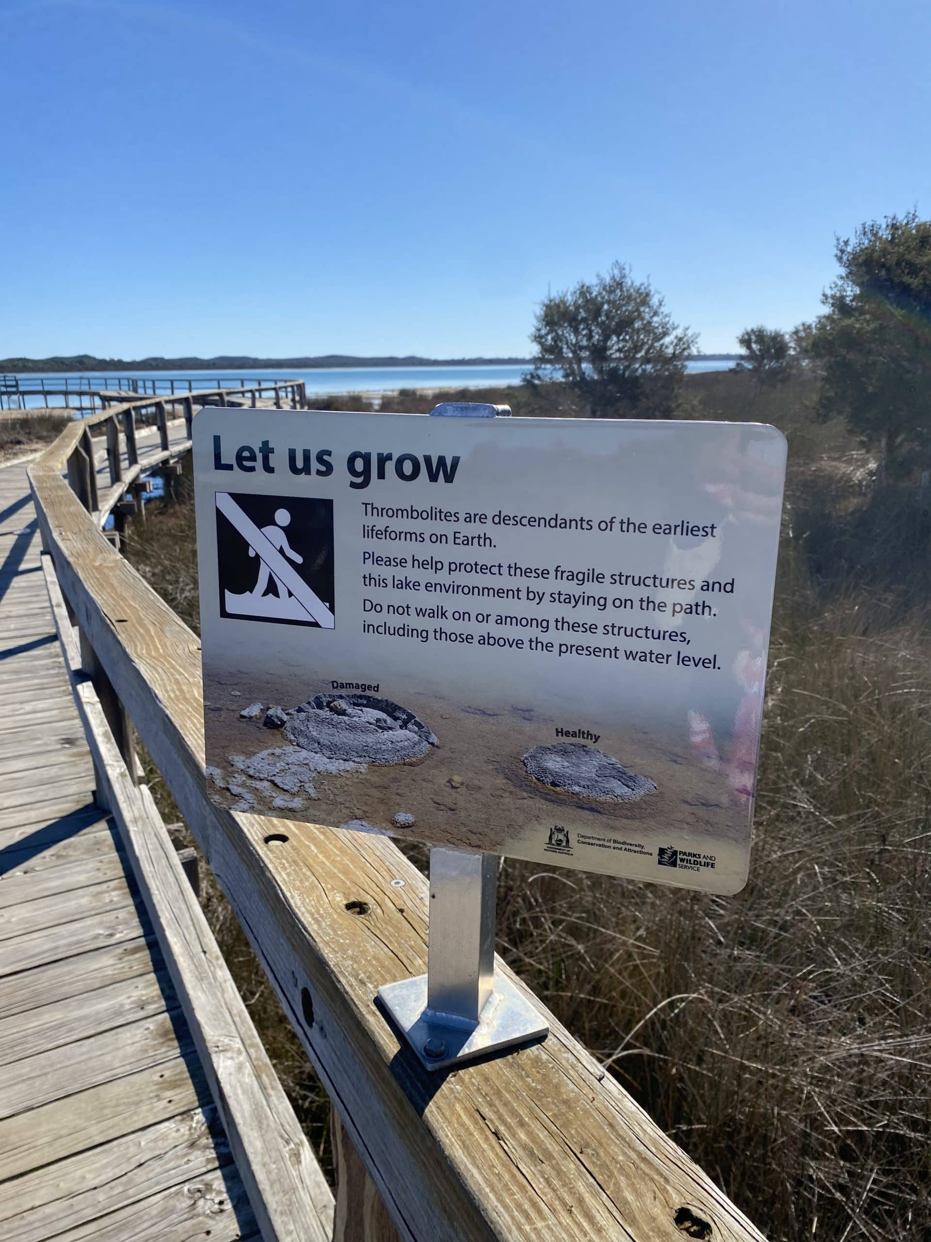 Lake Clifton Thrombolites - Seniors / Over 55's Guide to Perth